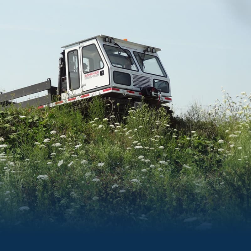 vegetation-management